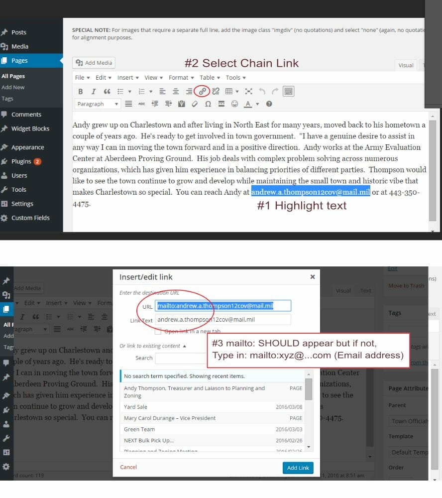 Text, Email Links & Buttons in WordPress - Small Details Website Design ...